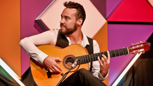 Biography - Daniel Martinez Flamenco